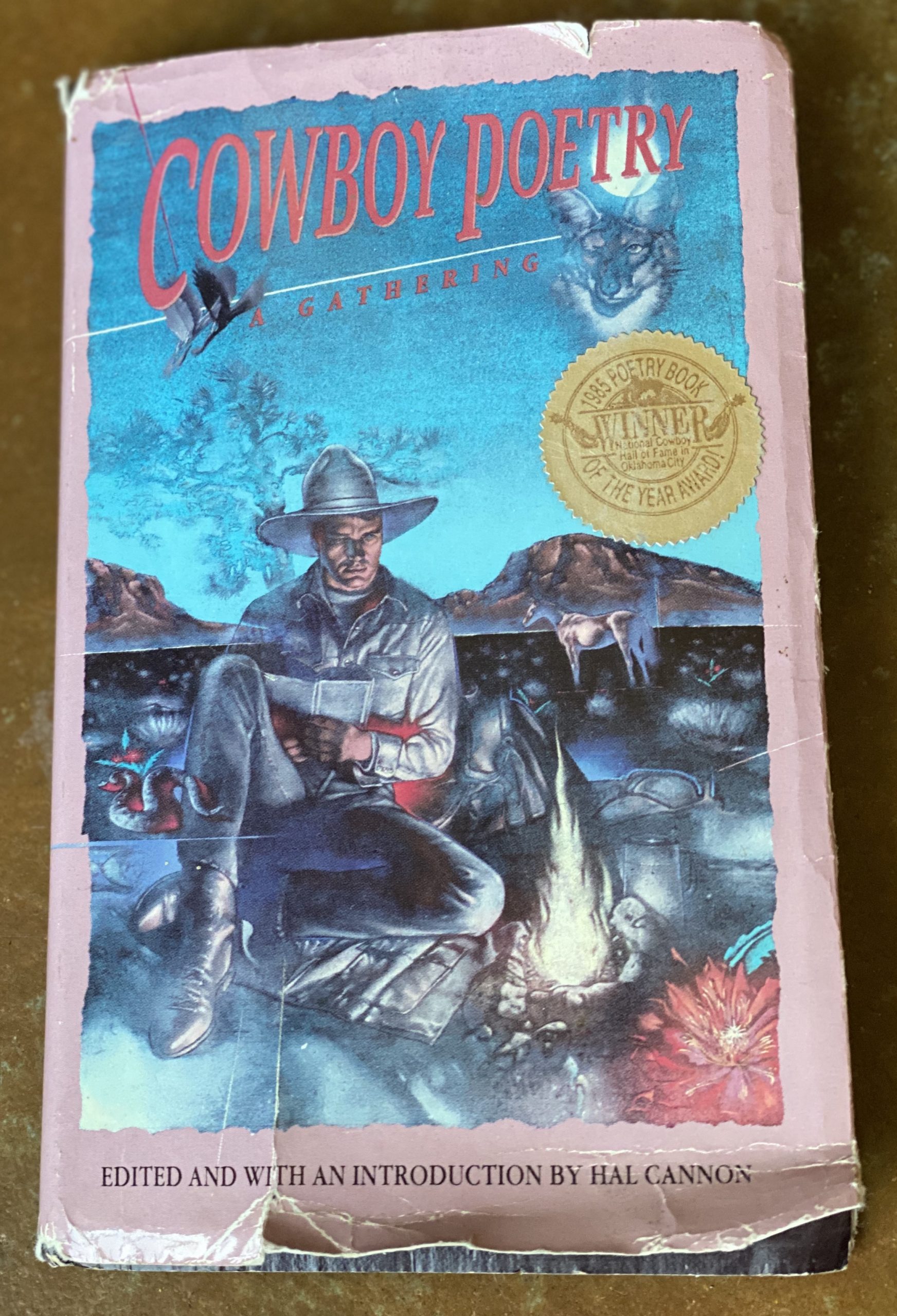 Go on an Adventure with a Ranch Read - Drowsy Water Ranch