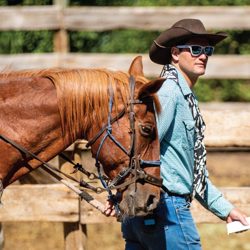 Horses - Drowsy Water Ranch